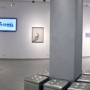 Forest Lake Finalist Work of "comel Award 2023" Italy Grey Artwork ...