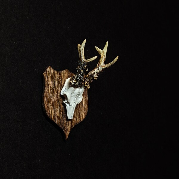 Skull Cap Mount for Deer - Etsy