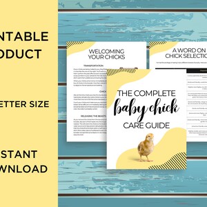 Complete Baby Chick Care Guide (digital Download) - Etsy