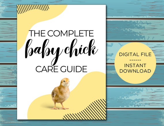 Complete Baby Chick Care Guide digital Download | Etsy