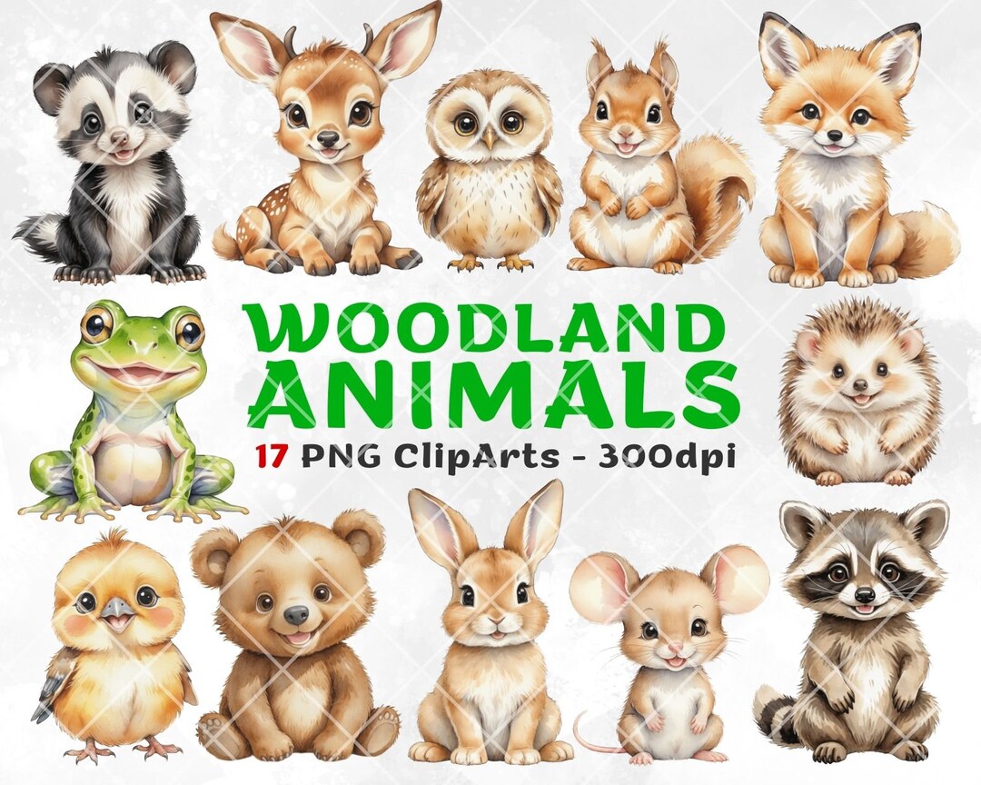 Woodland Animals Clipart PNG , Woodland Clip Art , Nursery Decor ...