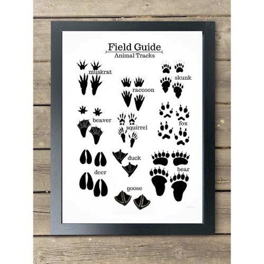 Field Guide Digital Kids Print - Etsy