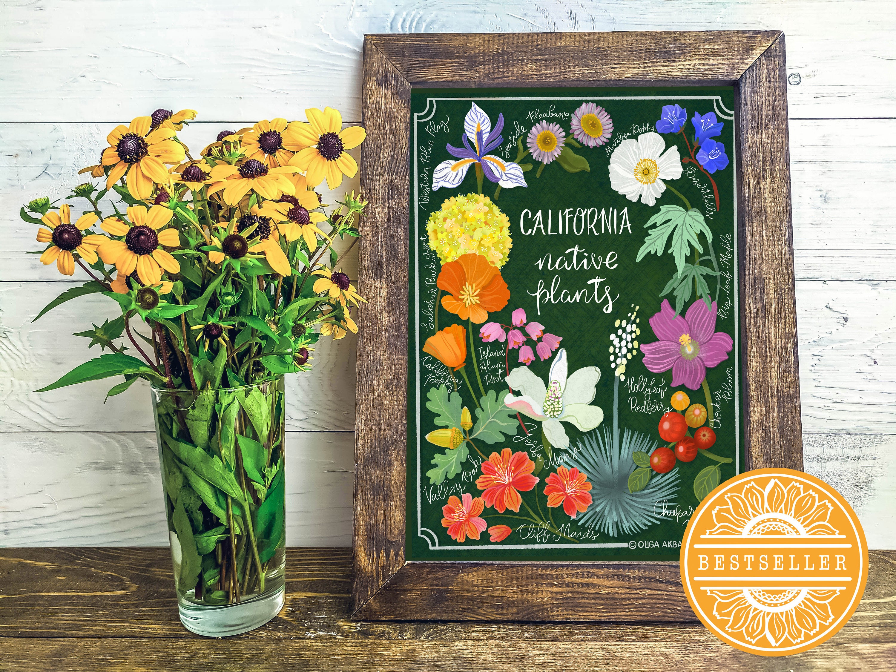 California Native Plants Art Print botanical Realistic - Etsy