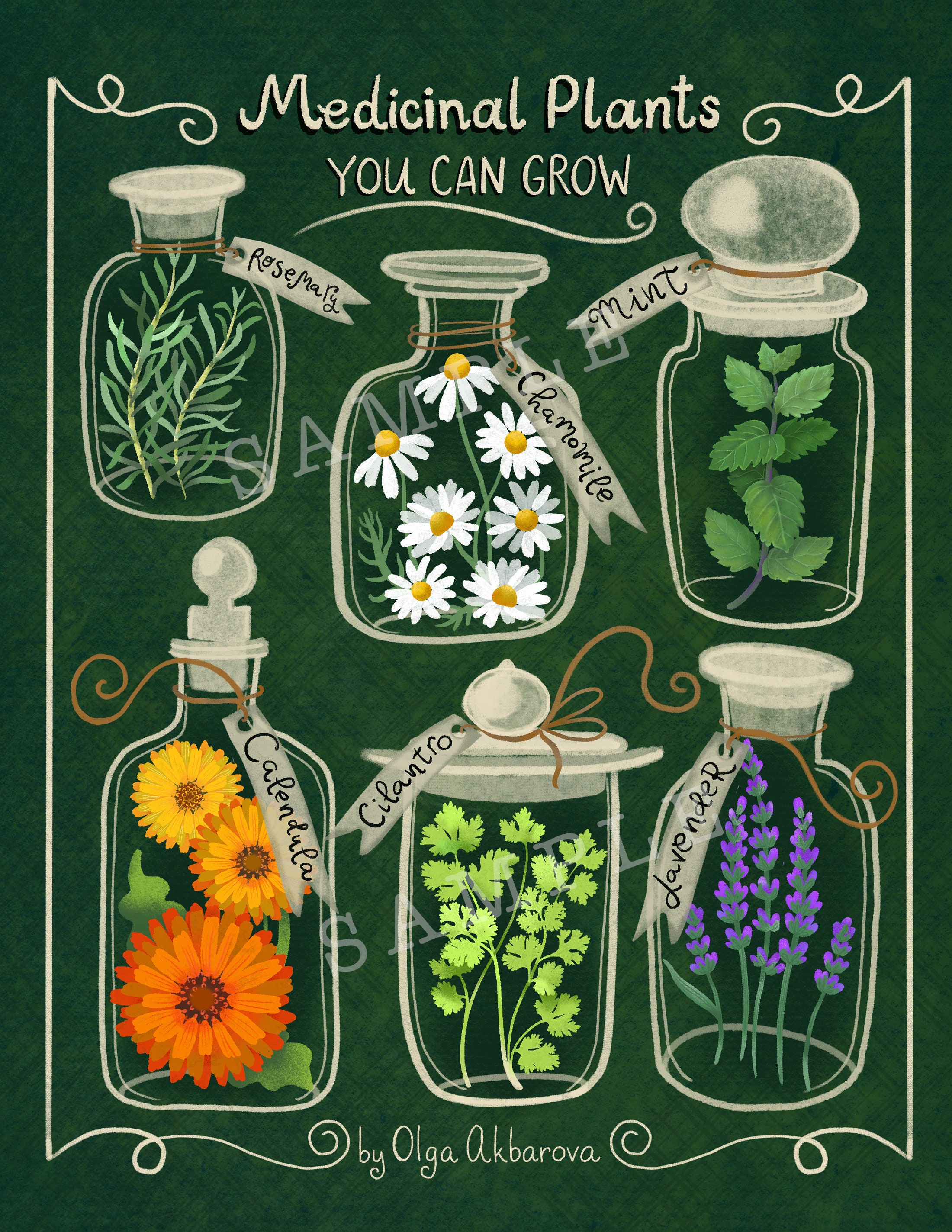 Medicinal Plants You Can Grow Art Print - Etsy