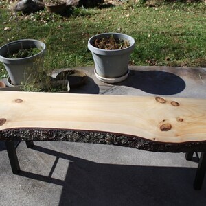 Live Edge Pine Bark Bench Seat With Steel Legs, Living, Hallway ...
