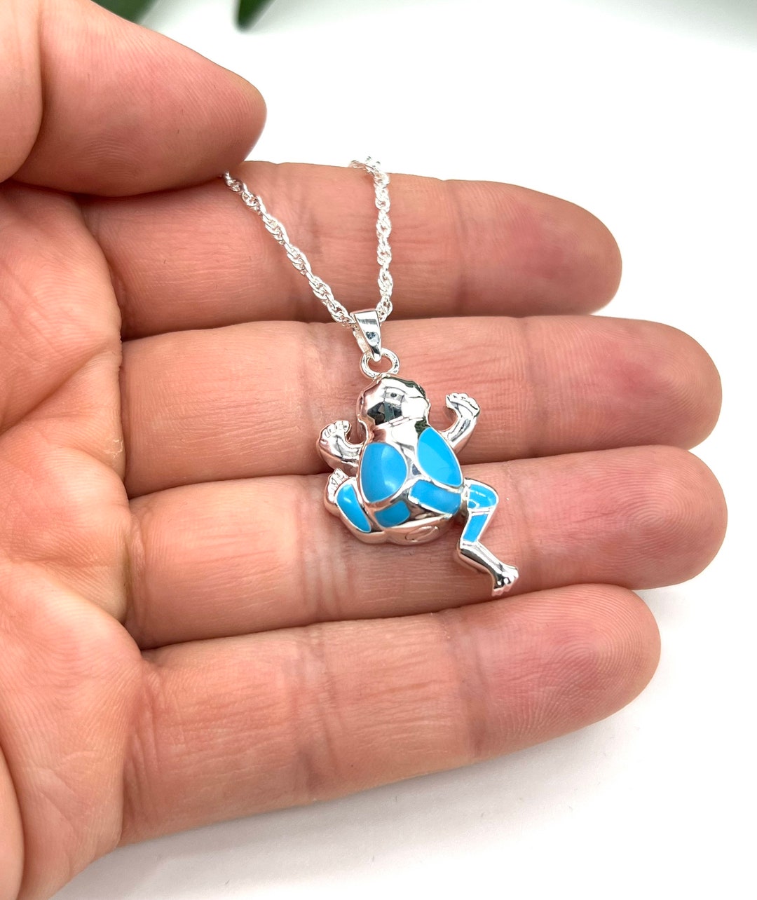 Cremation Frog Keepsake Memorial Necklace Jewelry Urn Ash 925 - Etsy