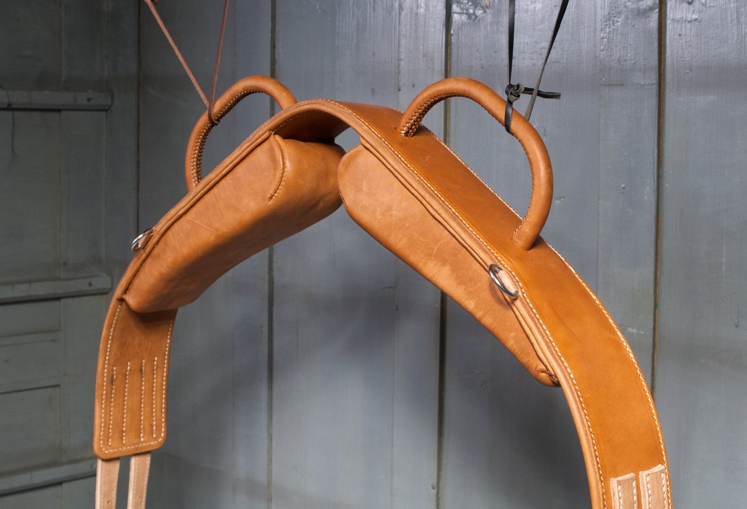 Vaulting or Hippotherapy Surcingle for a Horse - Etsy