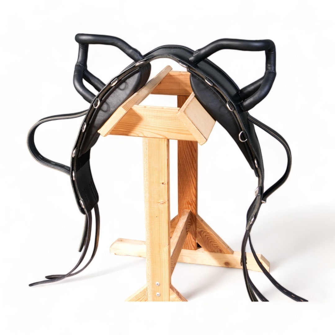 Professional Vaulting Competition Surcingle (roller) - Etsy