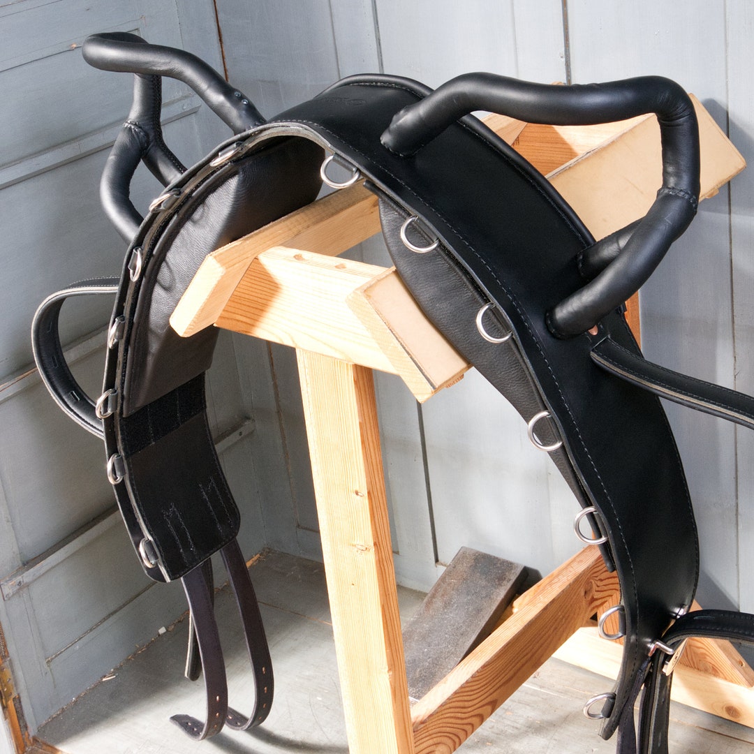 Professional Vaulting Competition Surcingle Roller - Etsy