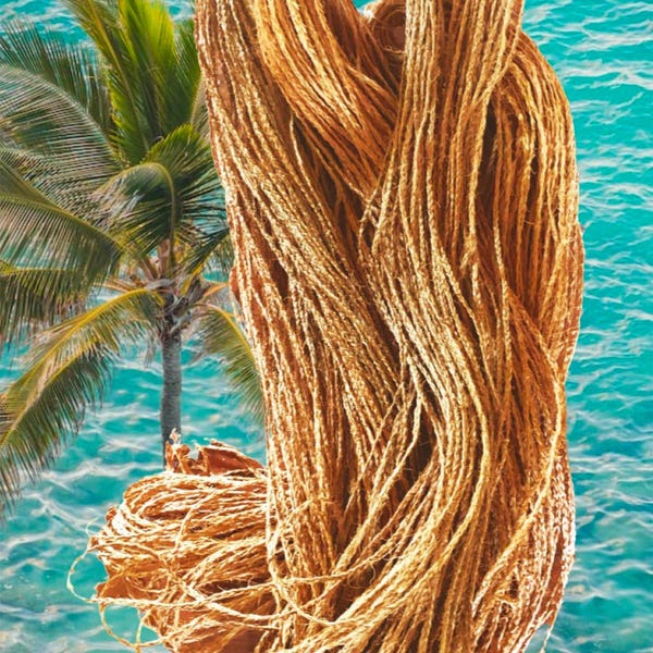 Coconut Hat - Etsy