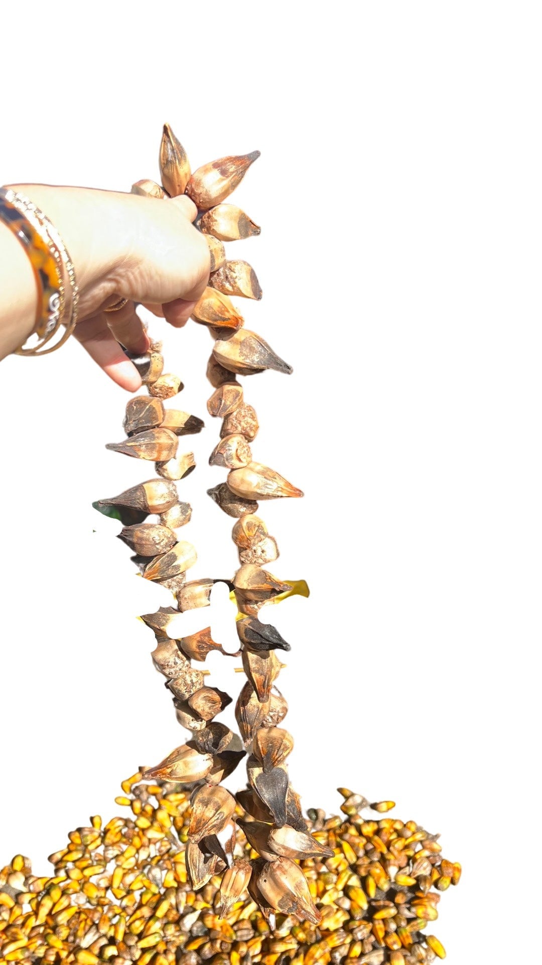 Samoan Ula Fala - Etsy