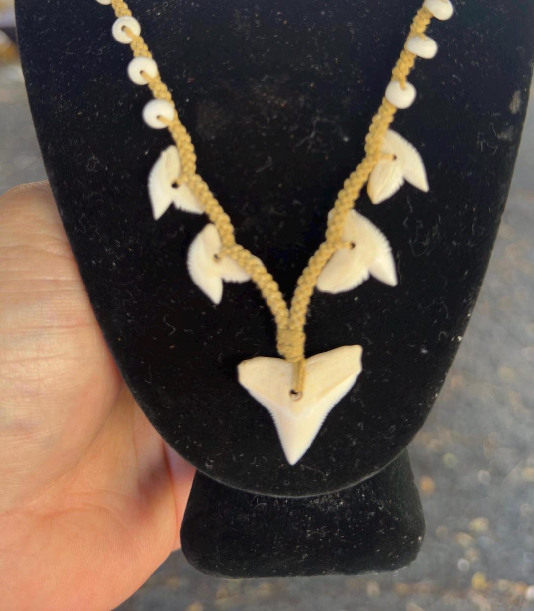 Real Shark Teeth Necklaces - Etsy