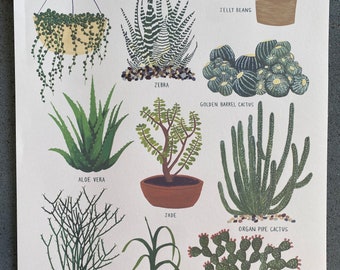 An A Z of Succulents Poster Home Decor Wall Decor - Etsy