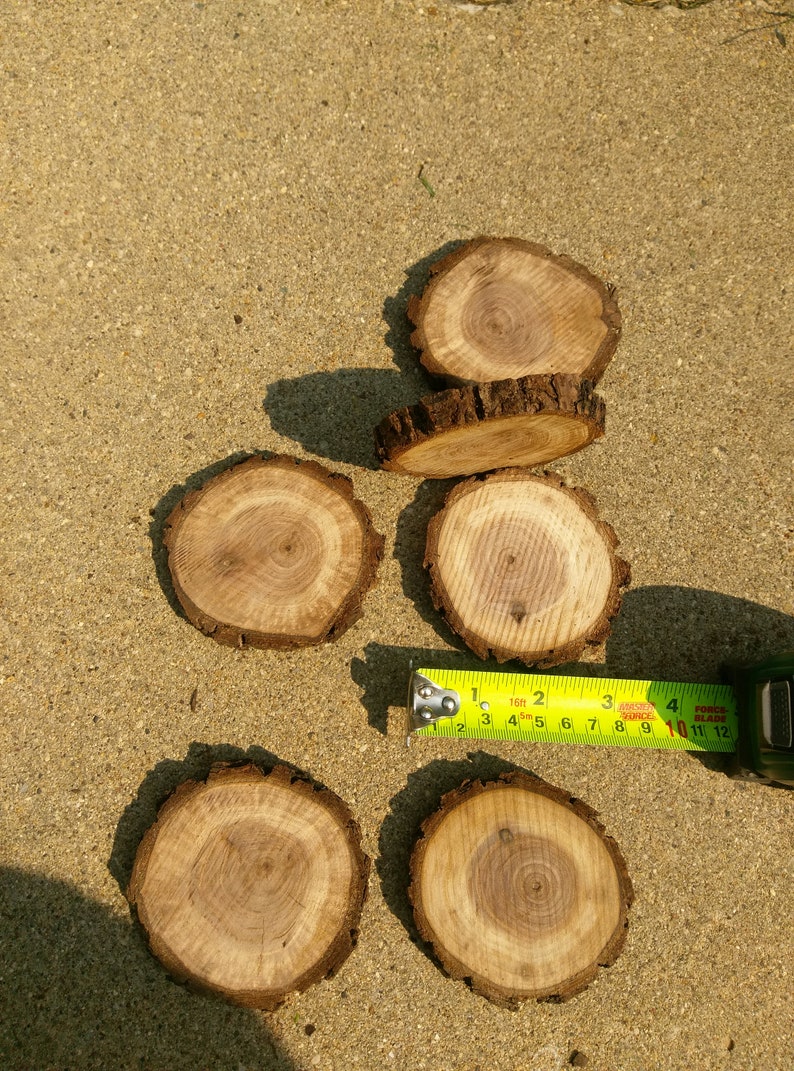 Wood Craft Rounds-set of Six-craft Supplies - Etsy