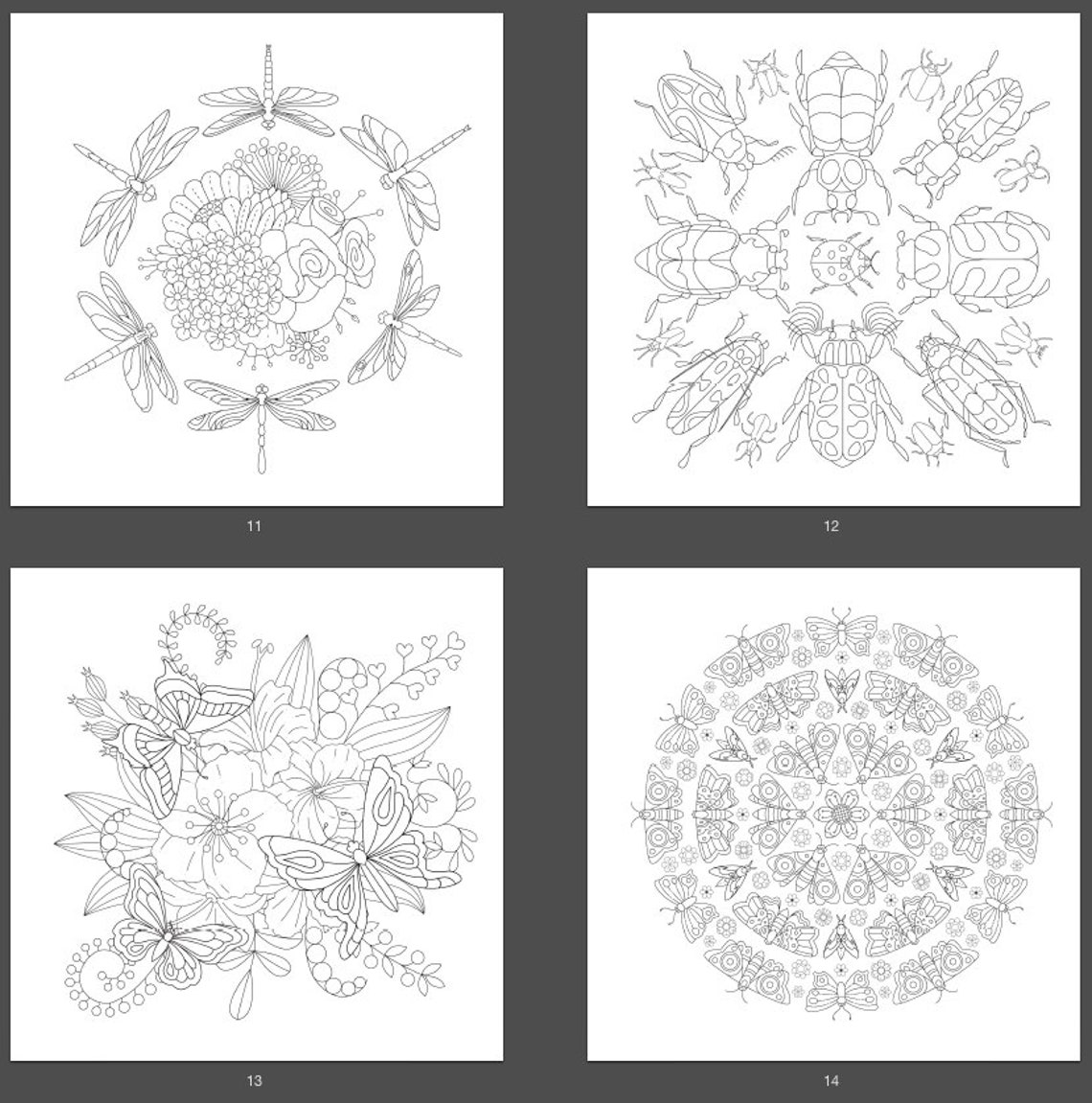 INSECTS Coloring Book - Etsy