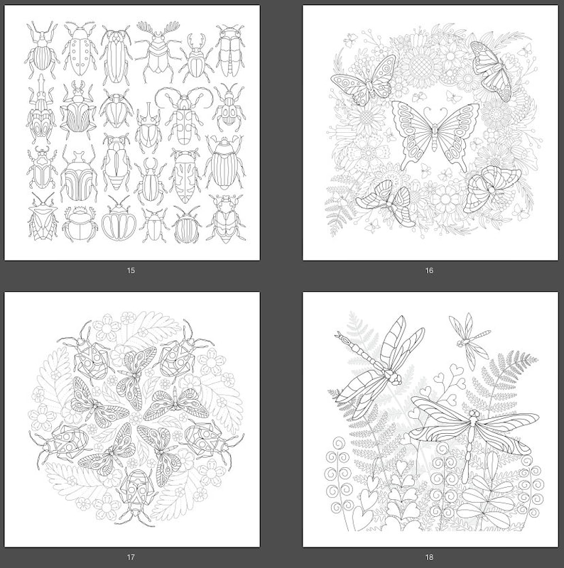 INSECTS Coloring Book - Etsy