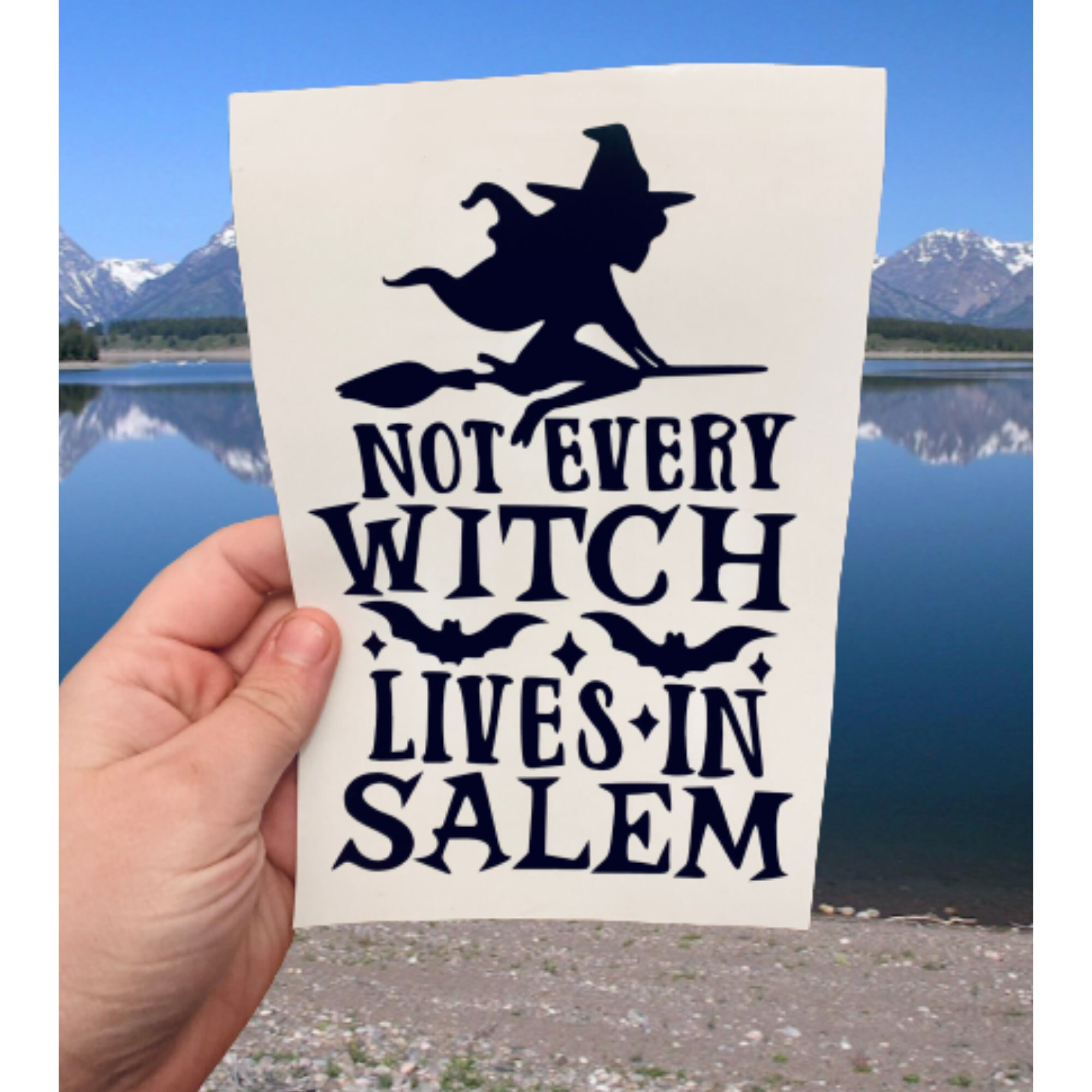 Witch Car Decal Sticker Bats Broomstick Pagan Occult - Etsy Norway