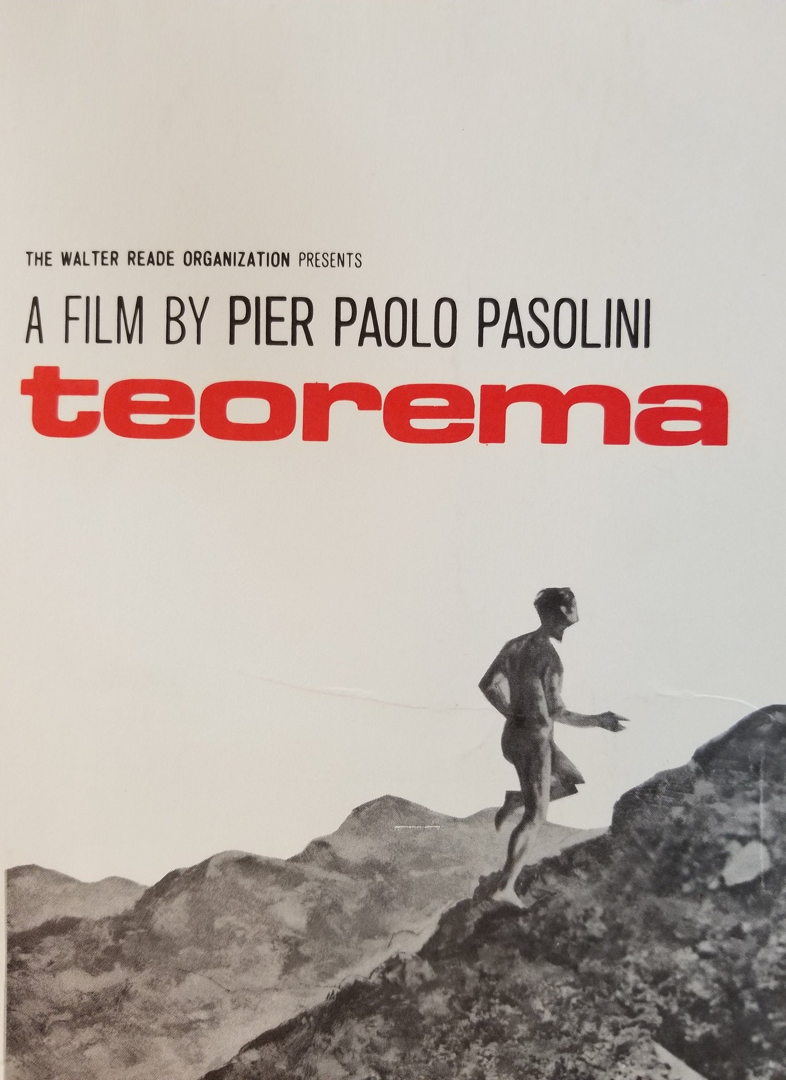 Teorema-original Vintage Movie Poster for Pier Paolo Pasolini's Erotic ...