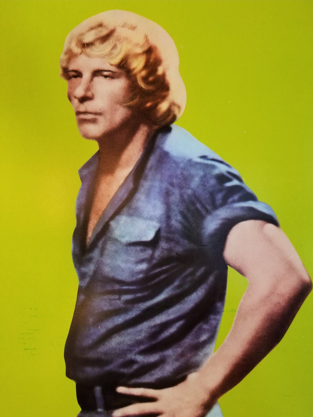 Jock Peterson-rare Original Vintage Movie Poster of the 1970s ...