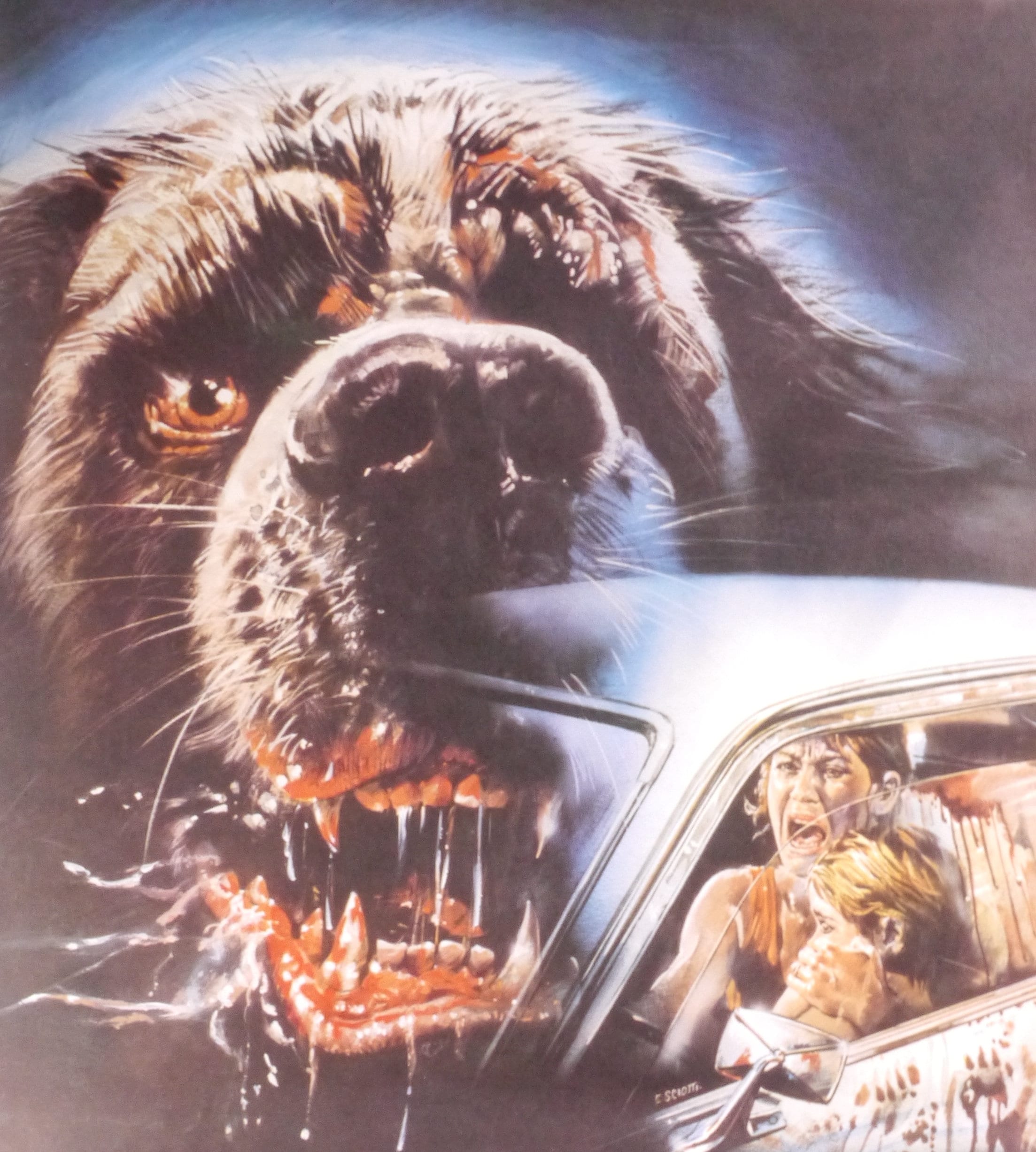 Rabid Dog Cujo