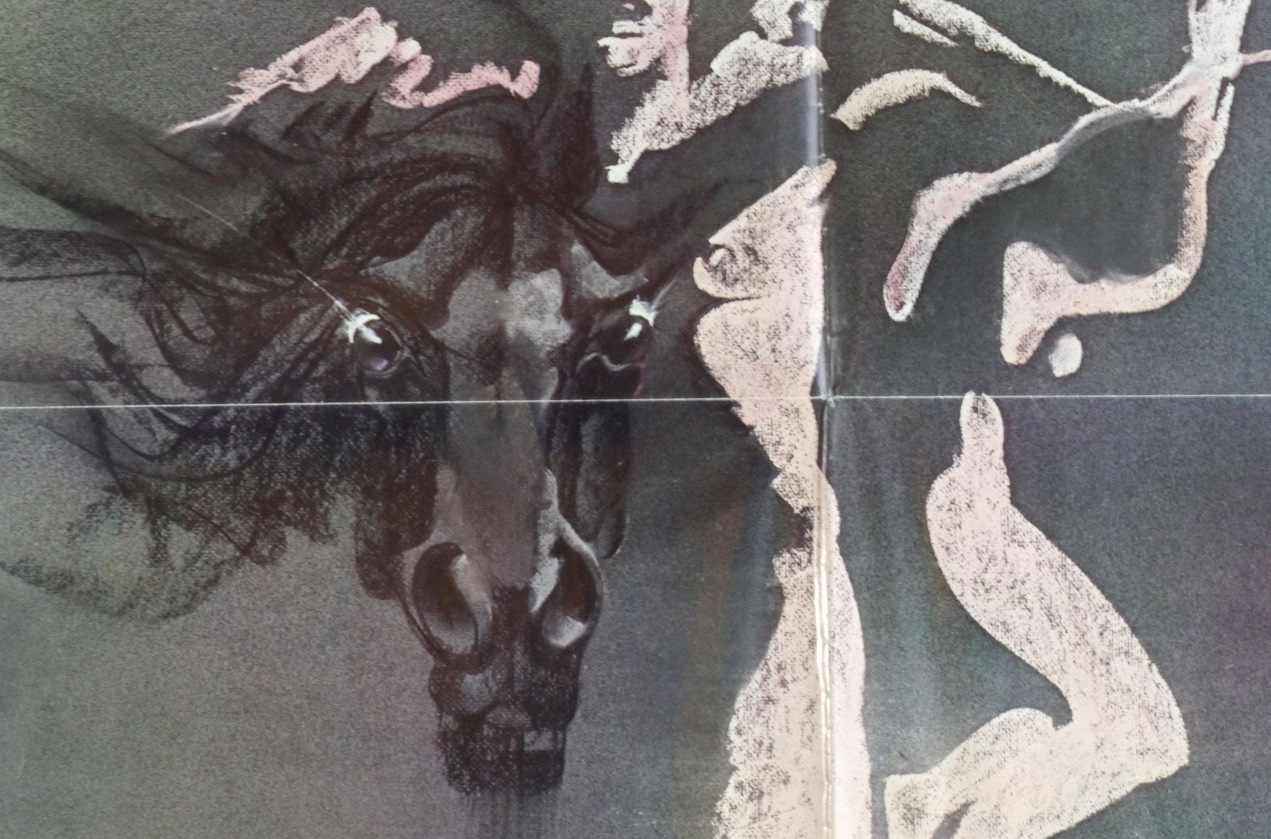 Equus-an Original Vintage Movie Poster of Sidney Lumet's Psychic ...