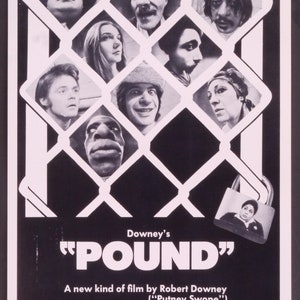 Pound-a Rare Original Vintage Movie Poster of Robert Downey's Surreal ...