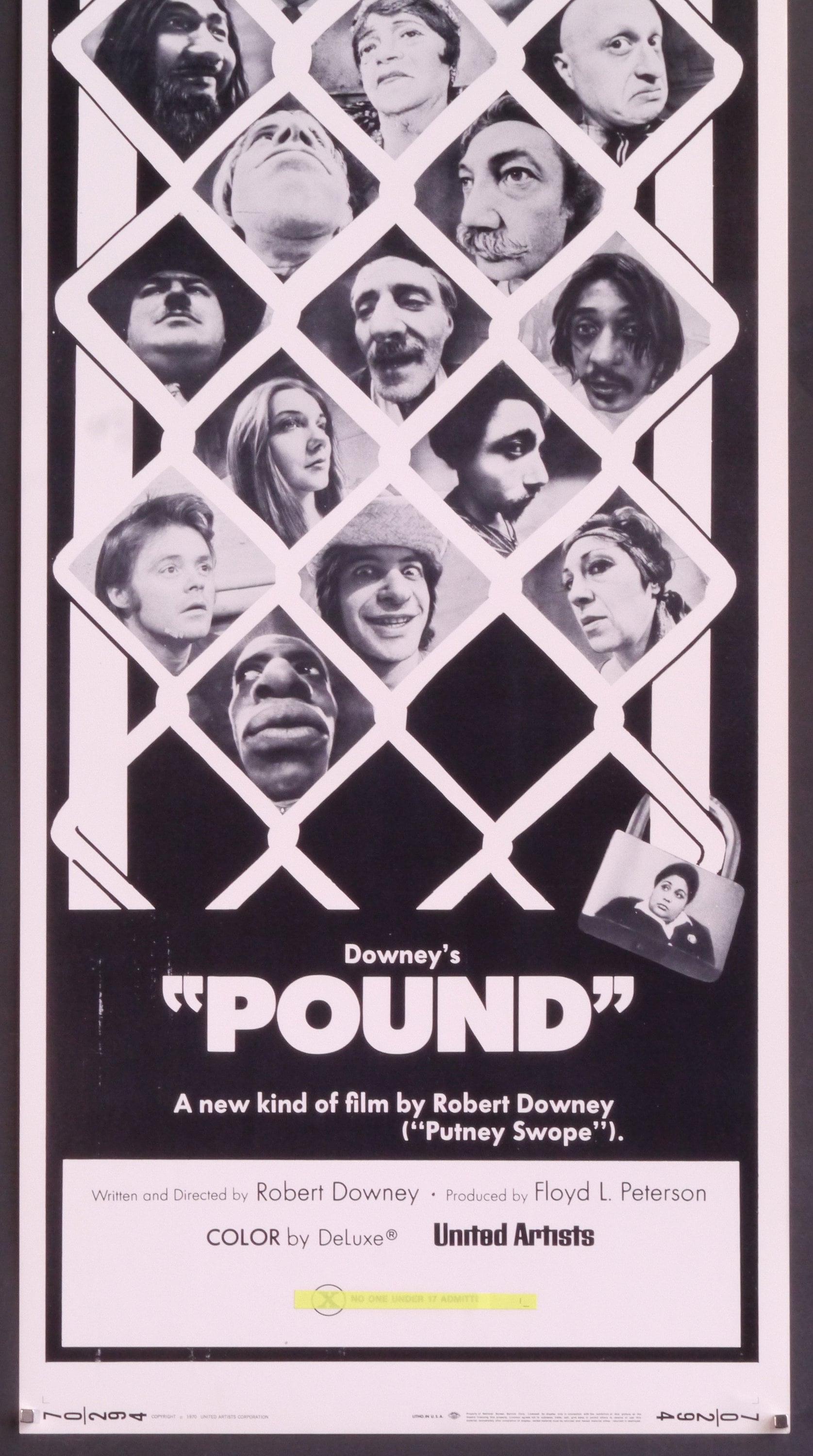 Pound-Rare Original Vintage Movie Poster of Robert Downeys | Etsy