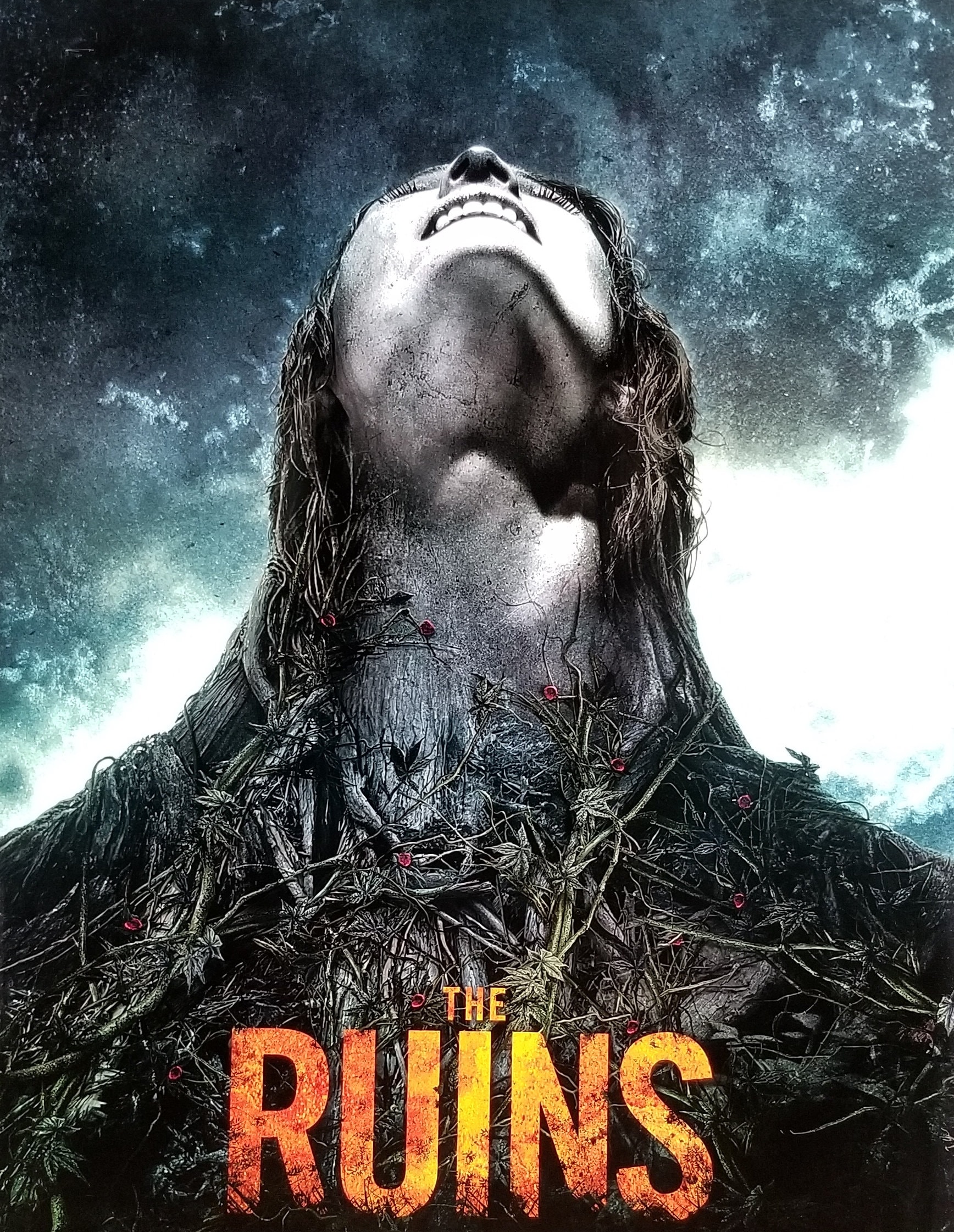 Art & Collectibles and Laura Ramsey The Ruins-Original Movie Poster of ...