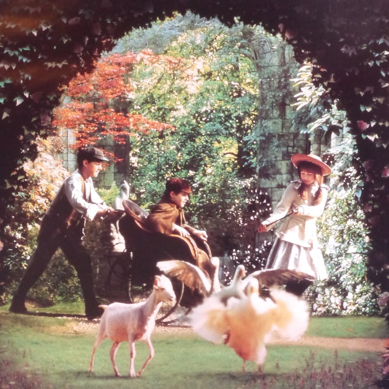 Garden Secret Movie - Etsy