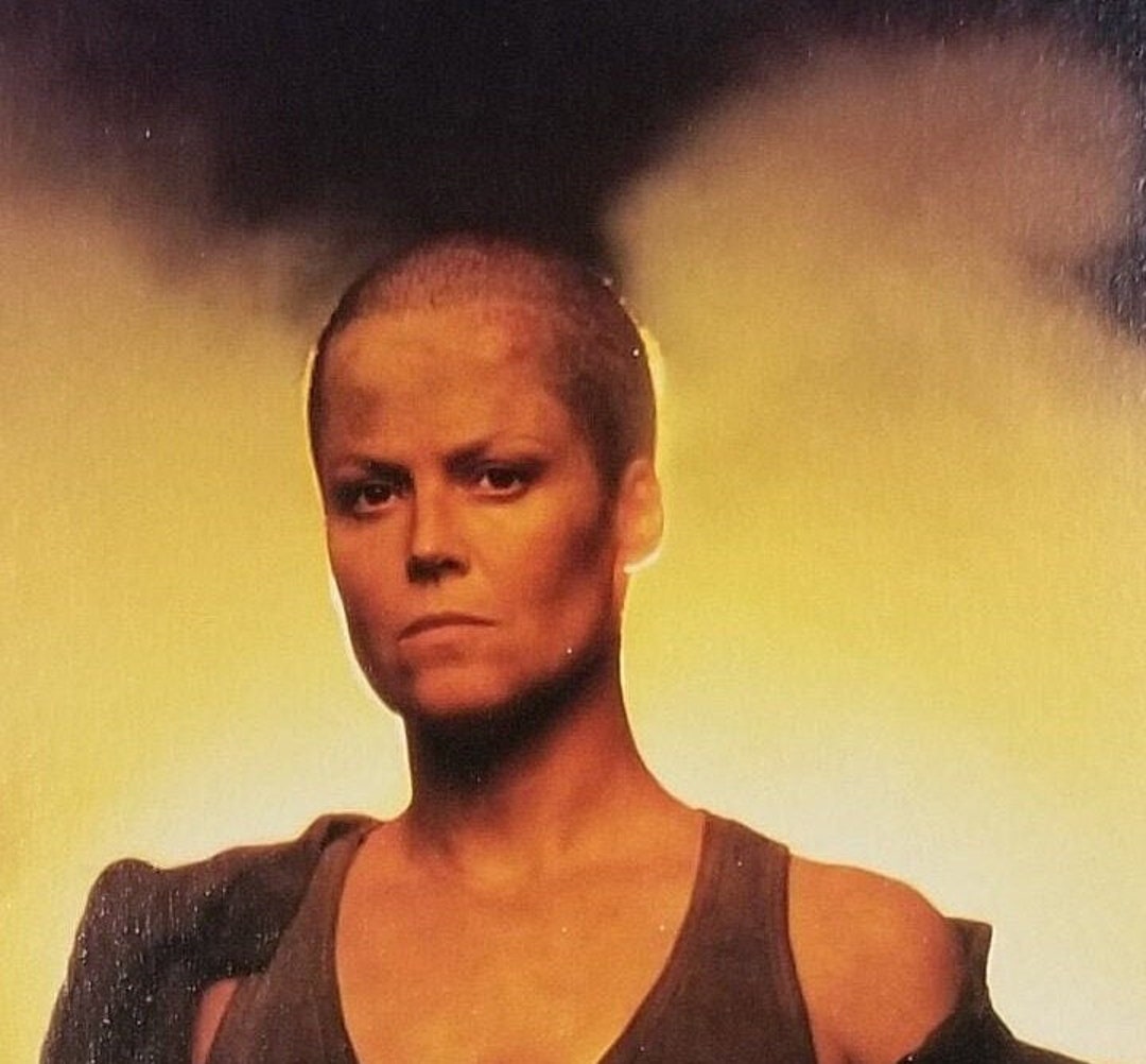 ALIEN 3-an Original Vintage Movie Poster of David Finchers Sci Fi ...