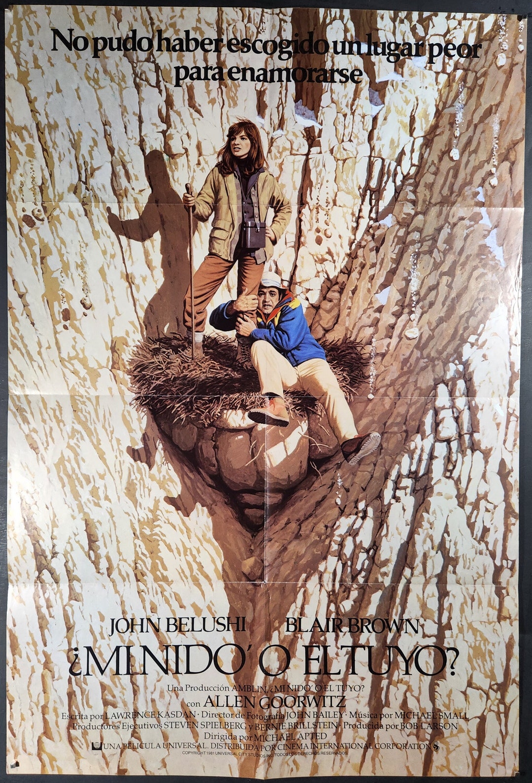 Continental Divide-an Original Vintage Movie Poster of Michael Apted's ...