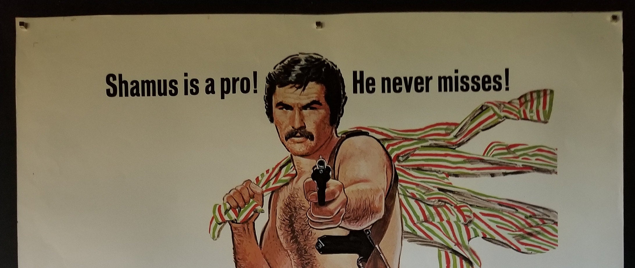 Shamus-an Original Vintage Movie Poster of Buzz Kulik's - Etsy