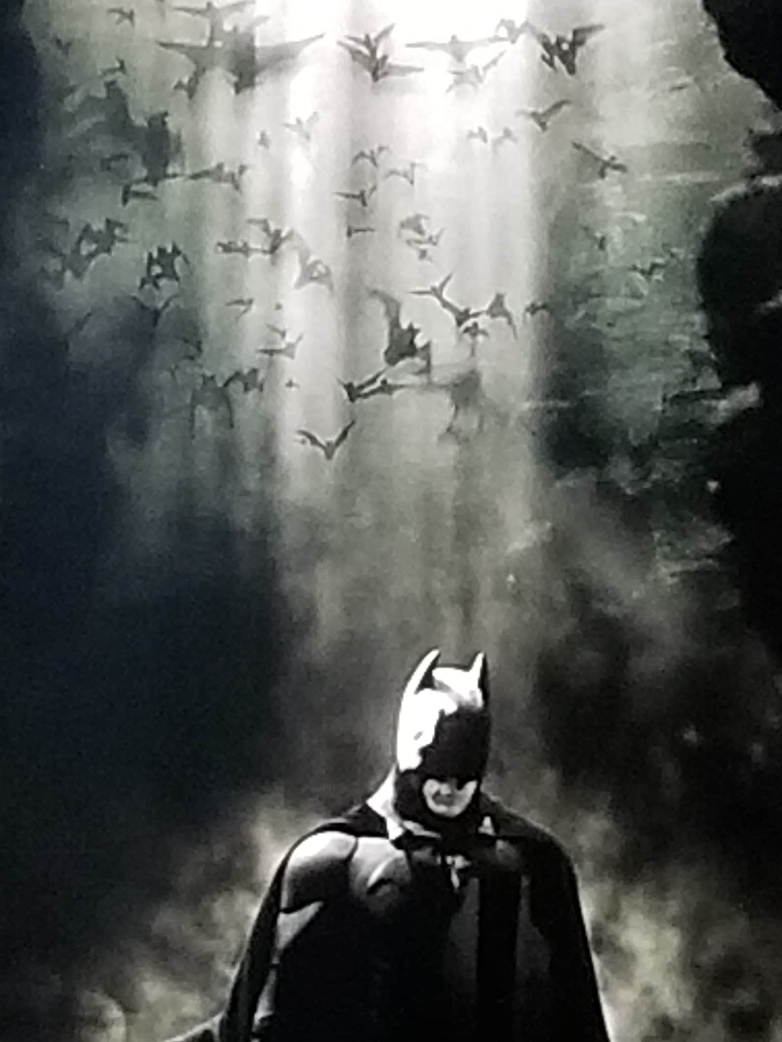 Batman Begins-a Rare Original Movie Poster for Christopher Nolans ...