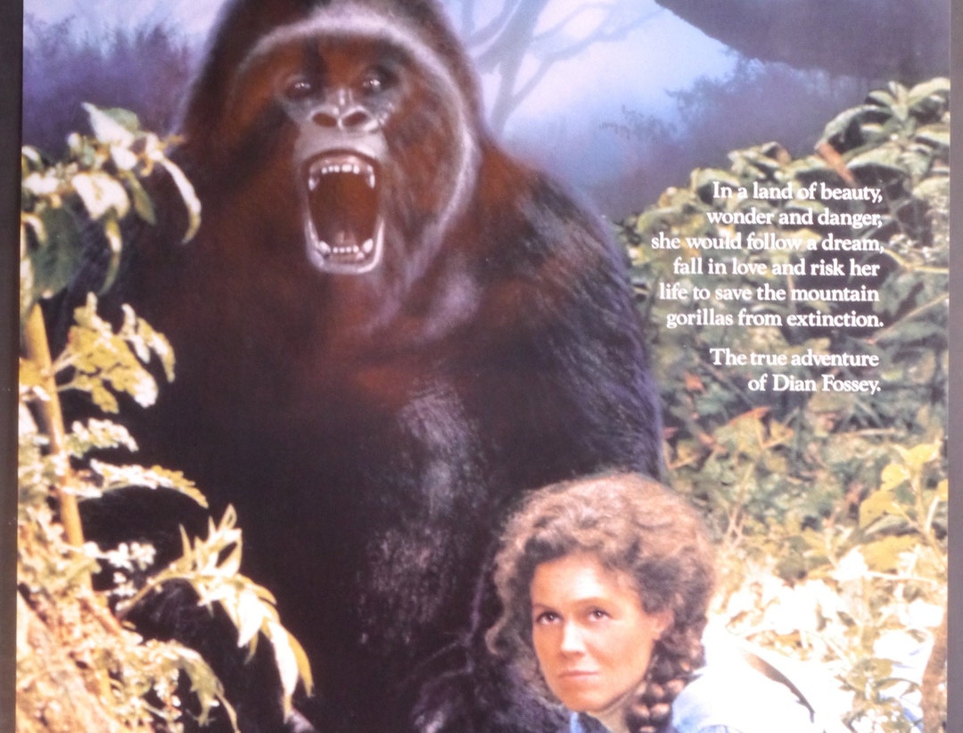 Gorillas in the Mist-Ein Original Vintage Film Poster für Michael Apted's Biographie von Dian ...
