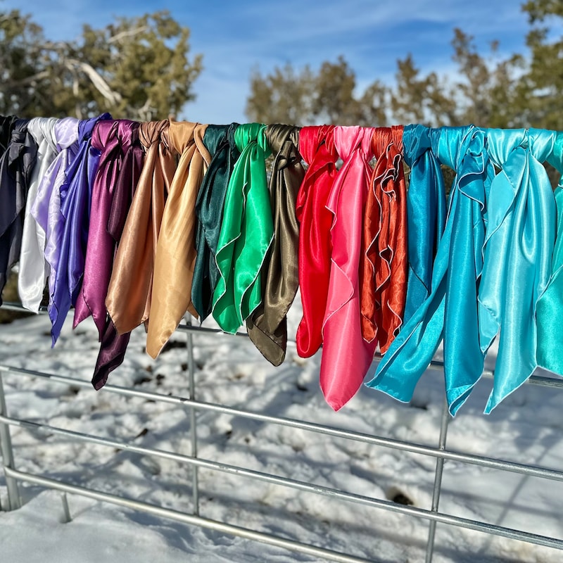 Silk Rust Wild Rag - Etsy