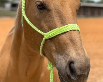 Lime Green and Turquoise Mule Tape Horse Halter With Rope - Etsy