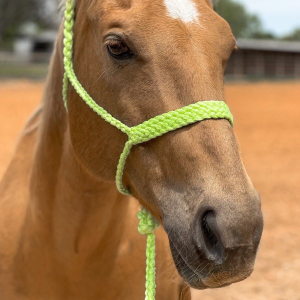 Mule Tape Rope Halter With Bronc Noseband - Etsy