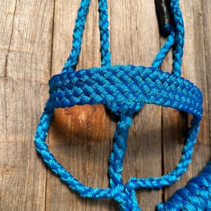 Blue Mule Tape Halter - Etsy