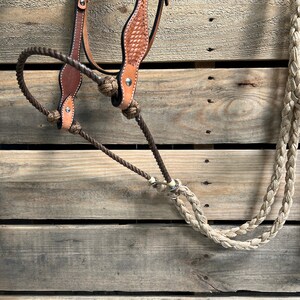 Light Oil Basketweave Tan Loping Hackamore #LHK013 - Etsy