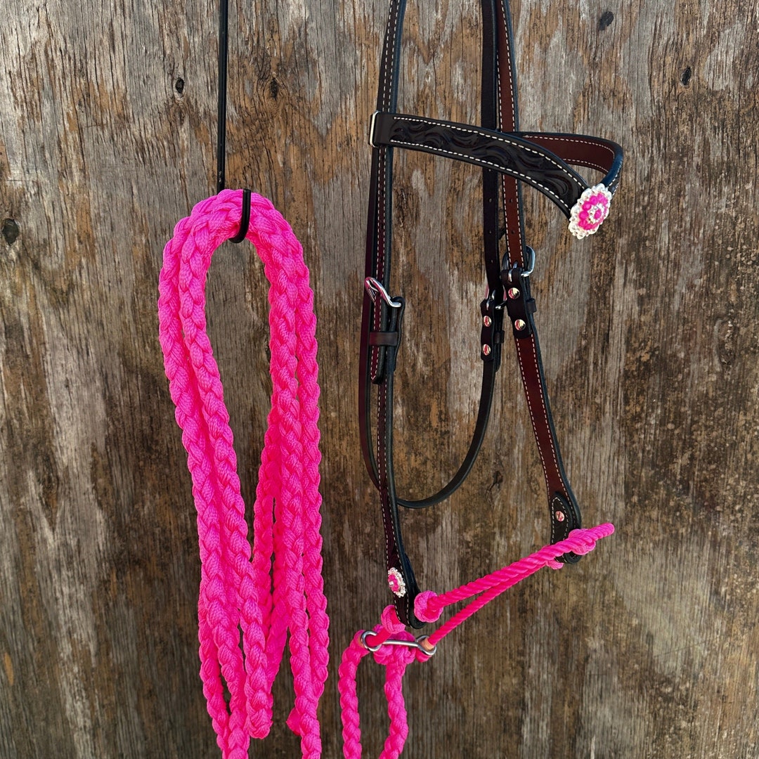 Black V-brow Neon Pink Loping Hackamore #LHK101 - Etsy