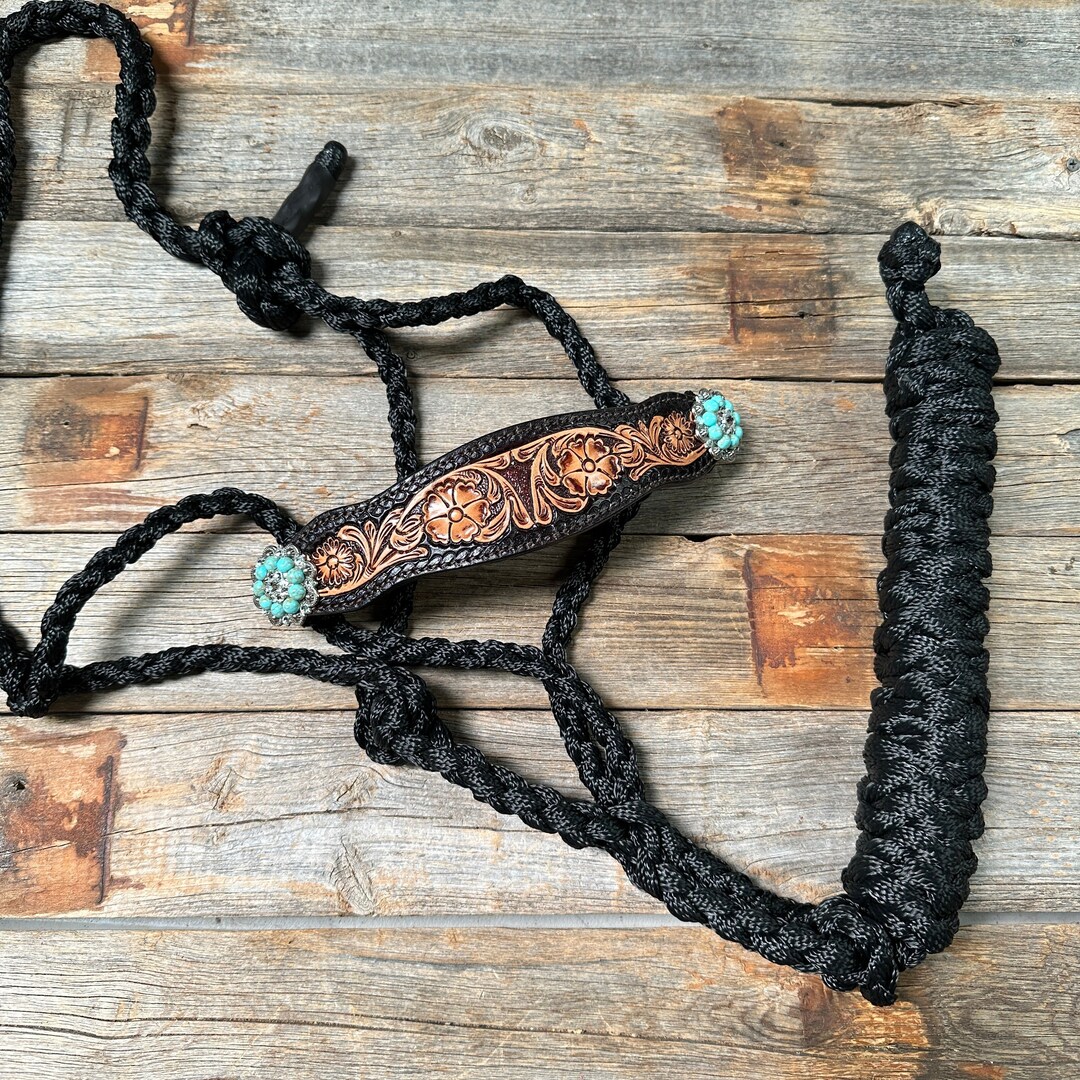 Black Mule Tape Halter -turquoise & Clear #MT225 - Etsy