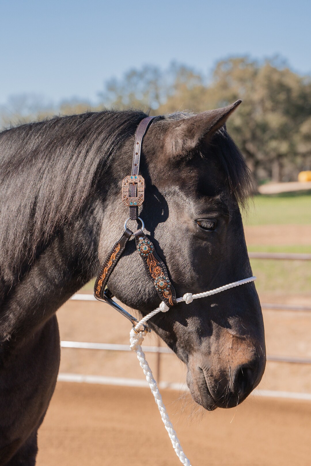 Floral Tooled Lariat & Leather Combo Halter LH104 - Etsy