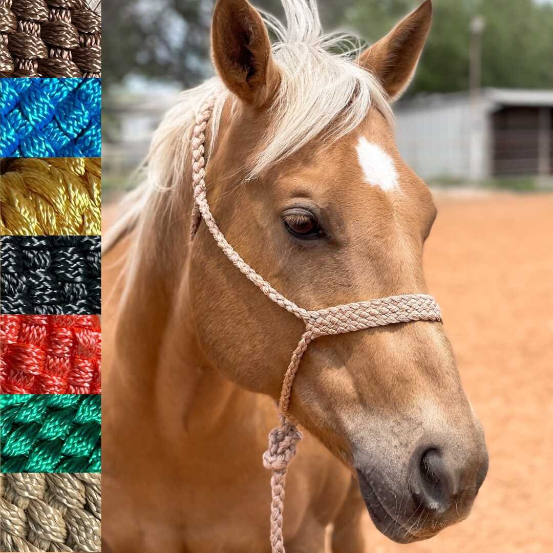 Mule Tape Halters Assorted Colors - Etsy