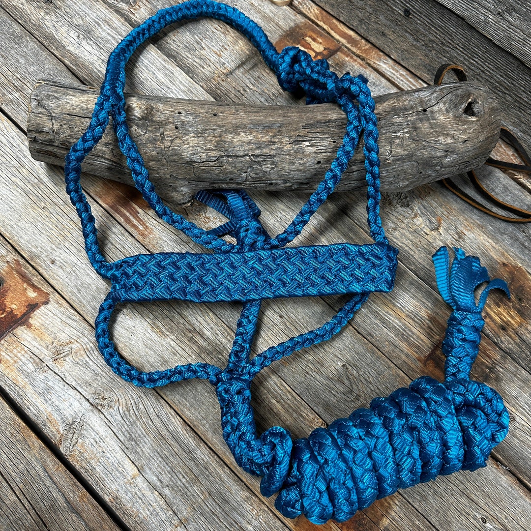 Cobalt Flat Braided Mule Tape Halter - Etsy