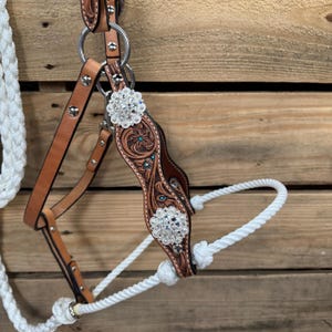 Floral Tooled Lariat & Leather Combo Halter #LH109 - Etsy