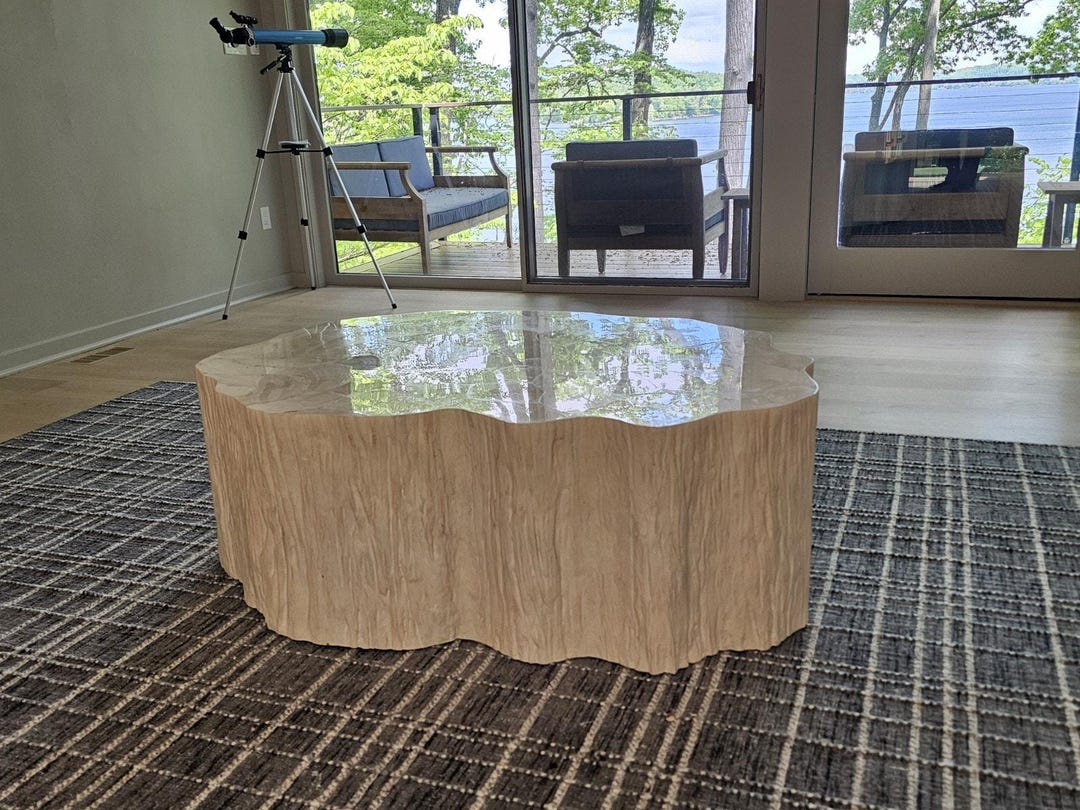 Fossilized Clam Shell Coffee Table on Natural Tree Trunk Base - Etsy