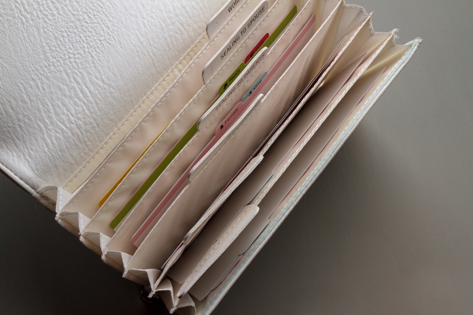 LDS Temple Ordinance Organizer | Etsy