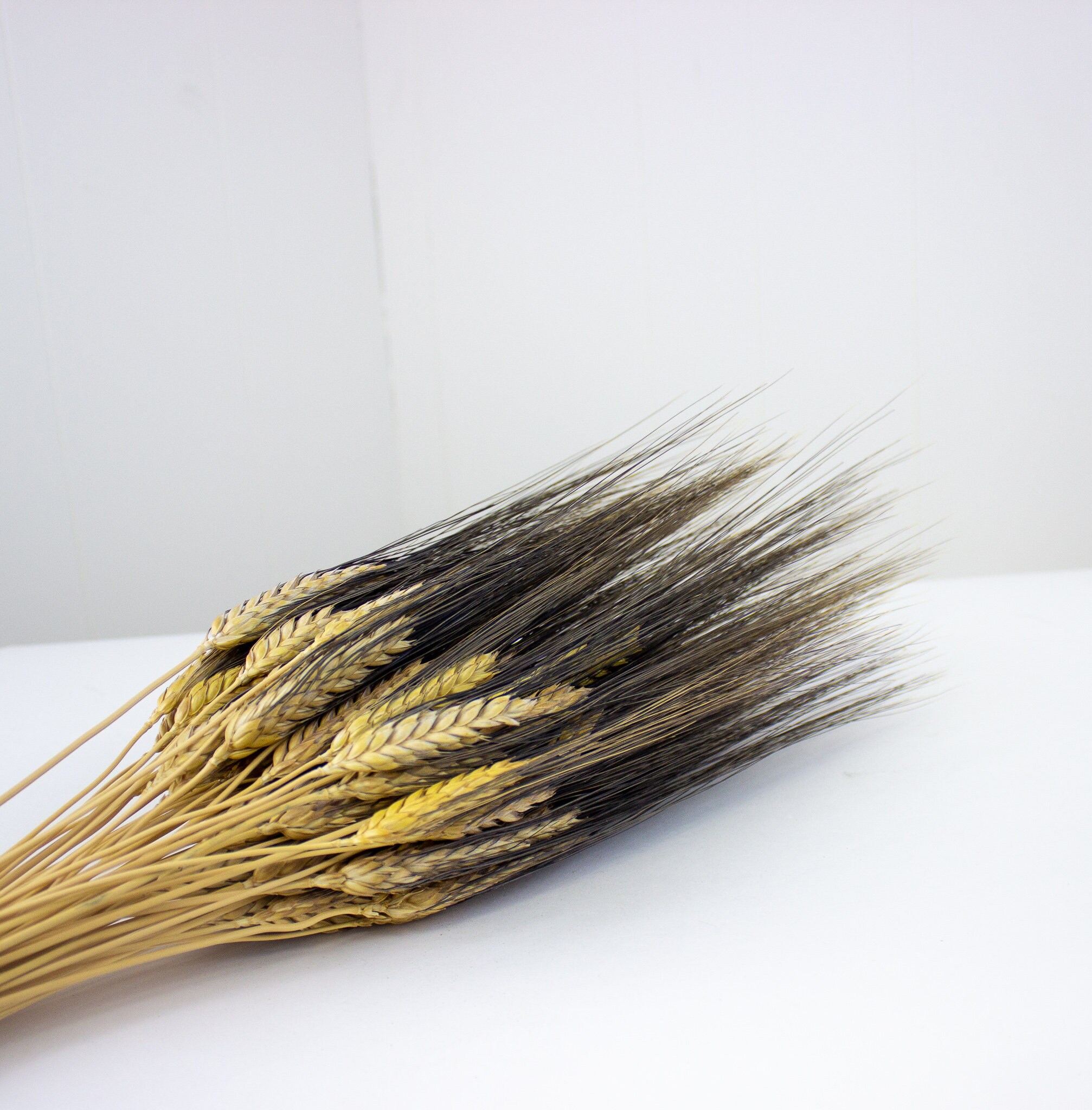 Black Bearded Wheat Dried Flowers Wedding Floral Bouquets Fall Filler ...