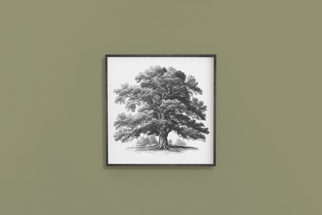 Beautiful Oak Tree Engraving: Stunning Wall Art for Nature Inspired ...