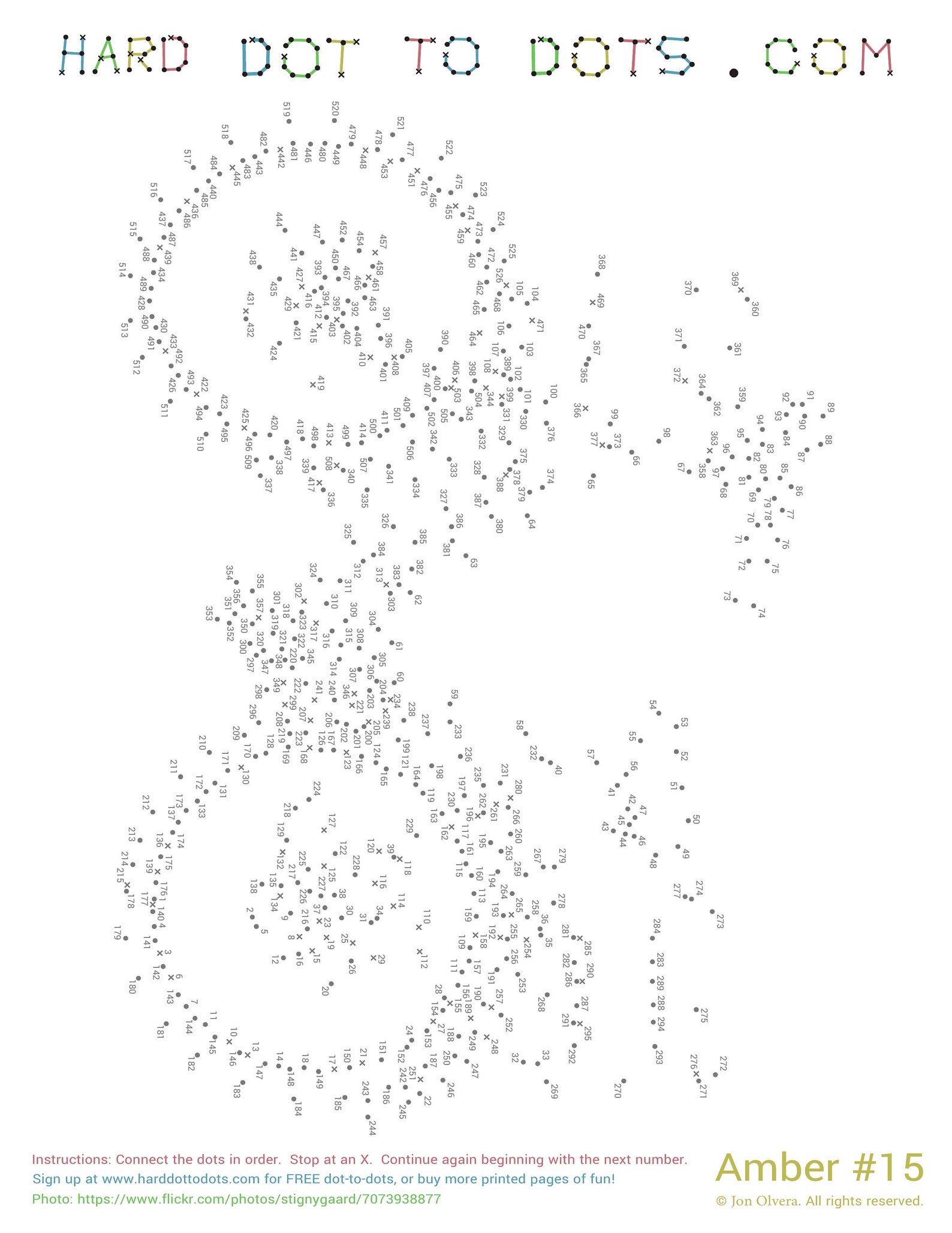 Amber 20 Pack Hard Dot to Dots - Etsy